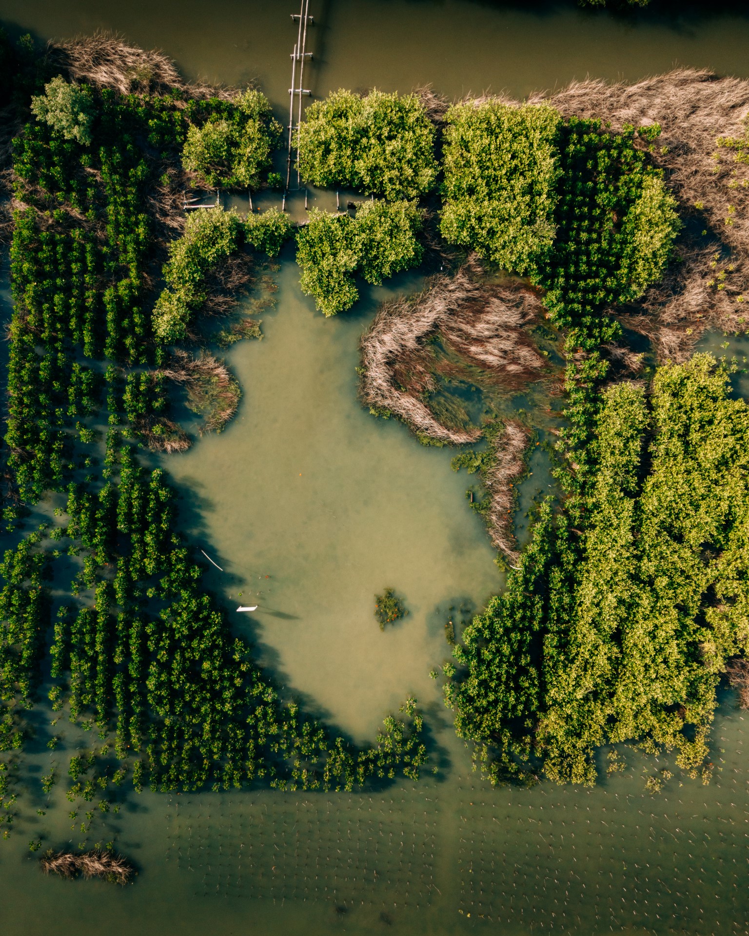 The Spirit of Gresik: Reviving Natural Ecosystems and Empowering Local ...