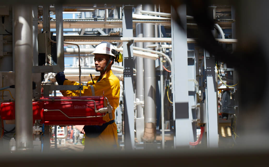 Comprehensive Site Services | PETRONAS Pengerang Integrated Complex (PIC)