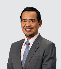 Organisation Chart | PETRONAS Pengerang Integrated Complex (PIC)