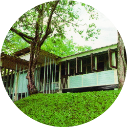 Our Brand Story | PETRONAS Global